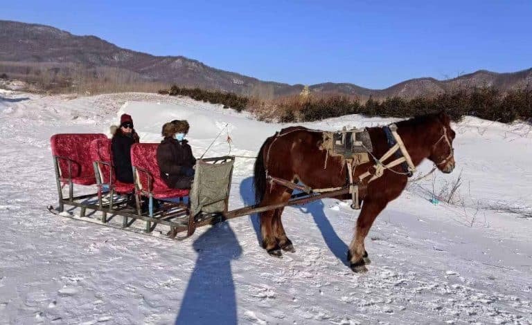 Tickets Harbin Ice and Snow festival World 2025/26: prices, where to ...