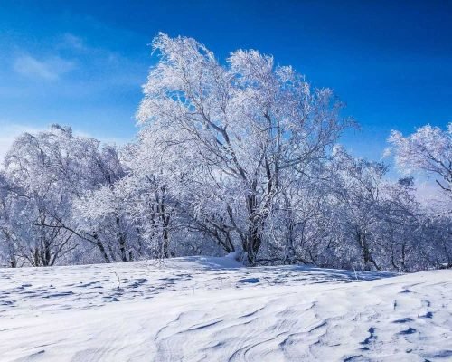 Harbin Tour Package Malaysia & Singapore | Harbin China Travel